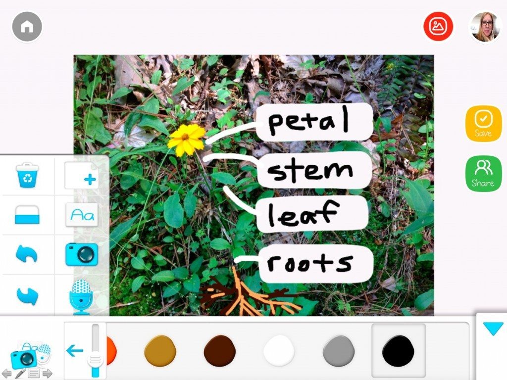 Science Drawings and the STEM Classroom - Class Tech Tips