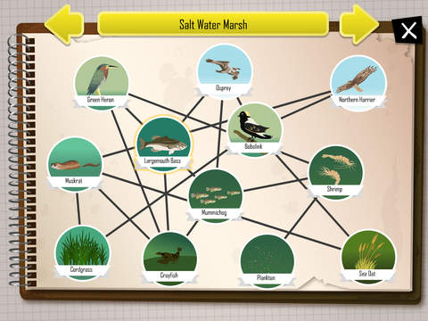 Labeled Wetland Food Web