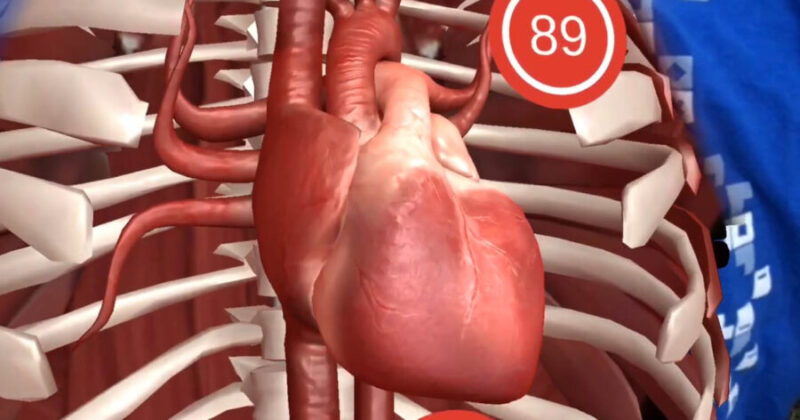 Augmented Reality Heart Rate Tracker Helps Educators Teach about the ...