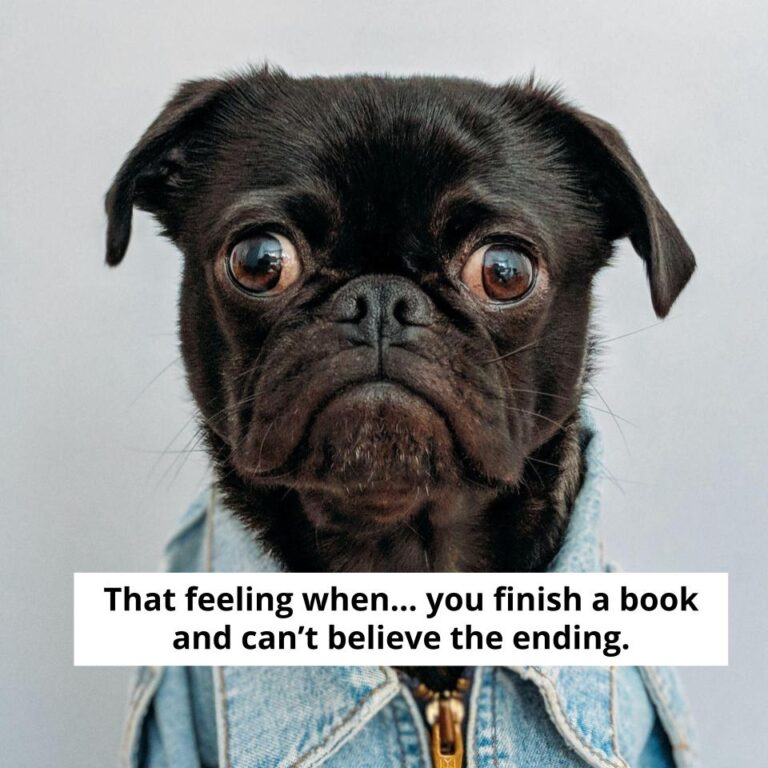 A Deep Dive into Memes with a Meme Lesson Template - Class Tech Tips